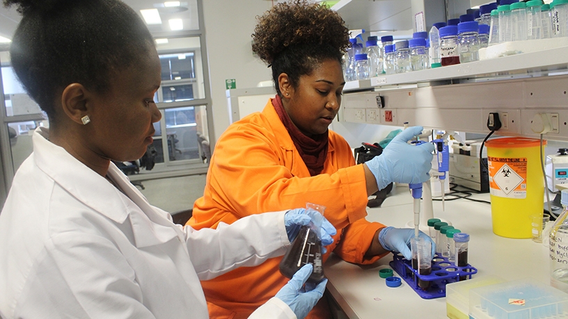 Africa's first biotech incubator programme launched | ITWeb