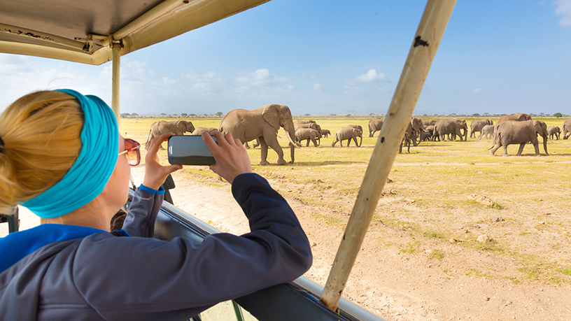 Virtual safaris become reality during SA lockdown | ITWeb