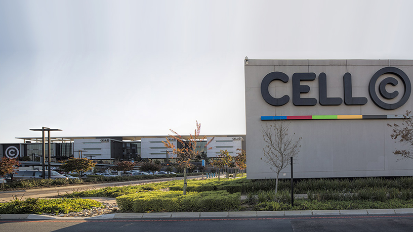 Cell C to close down 130 stores as financial pressure mounts | ITWeb