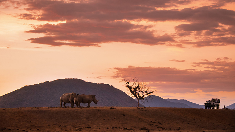 Google partners SA Tourism on virtual exhibition site | ITWeb
