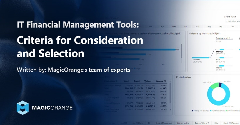 IT financial management tools – criteria for consideration and ...