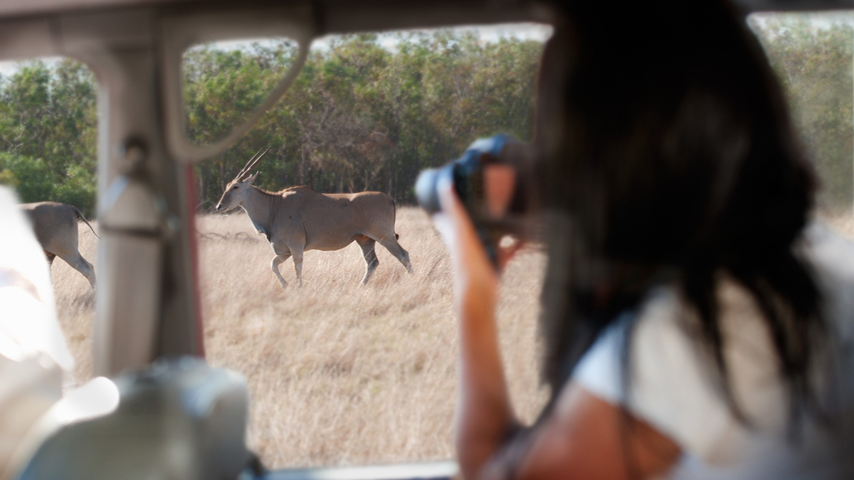 Tourism dept ‘pulls out all the stops’ to keep tourists safe | ITWeb