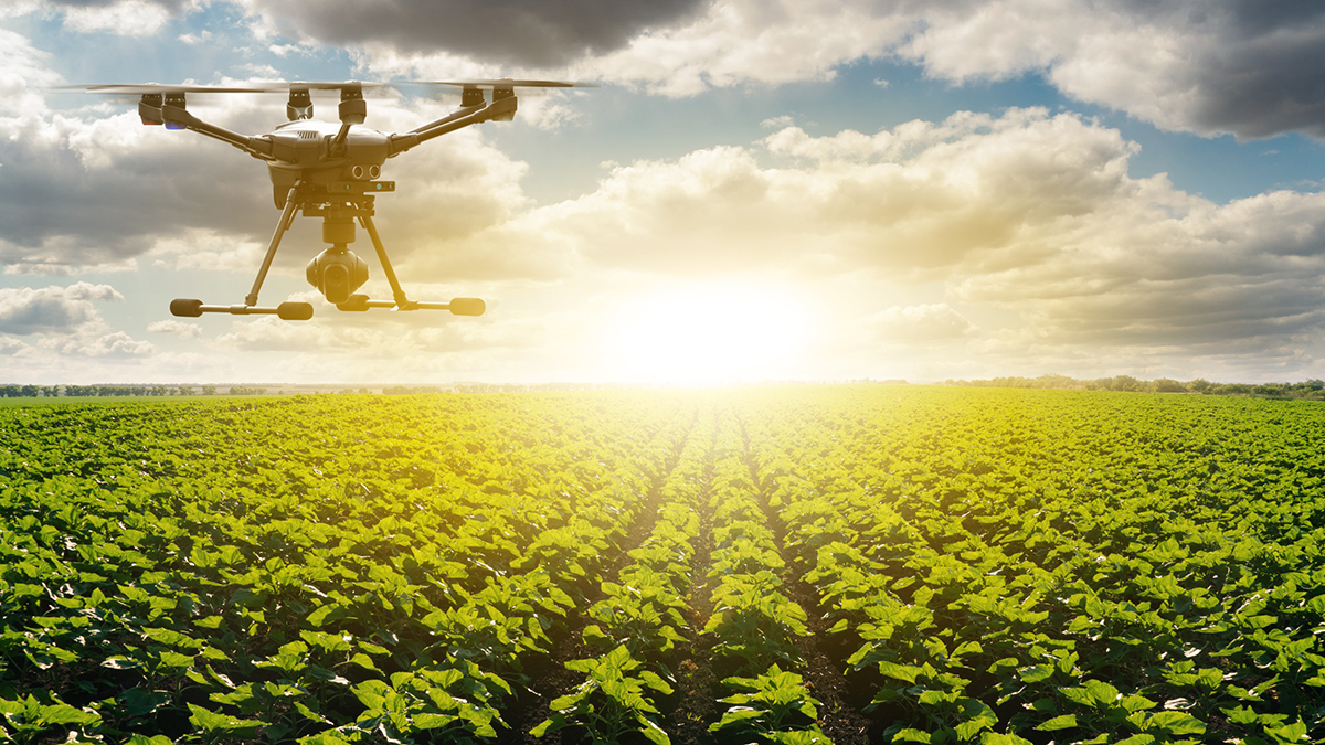 AI drone taps Dell, Nvidia tech to monitor crop health | ITWeb
