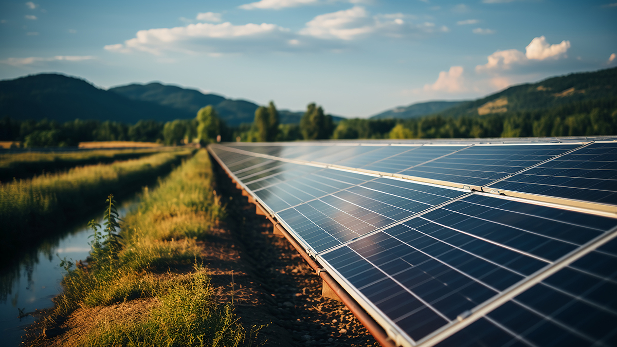 Solar industry body sees promising 2025 | ITWeb